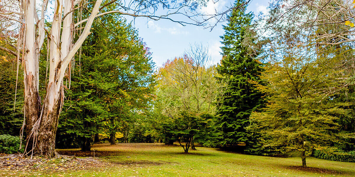 Home - CJ Real Estate